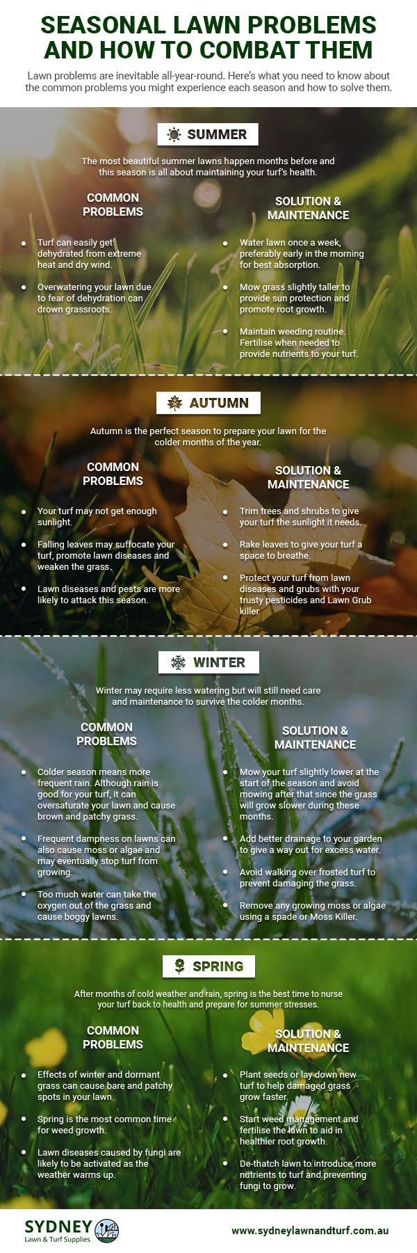 Common seasonal lawn problems - Sydney Lawn & Turf Supplies