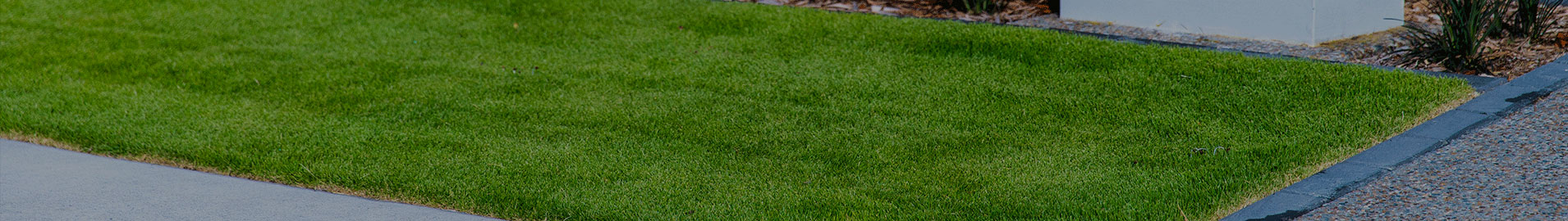Instant Turf Varieties - Sydney Lawn & Turf Supplies