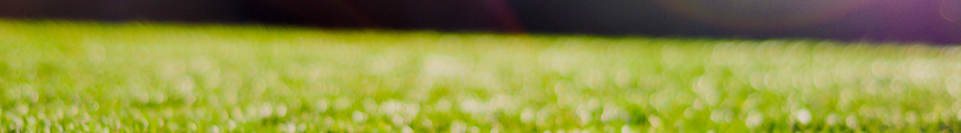 Turf Photo Gallery | Sydney Lawn & Turf Supplies