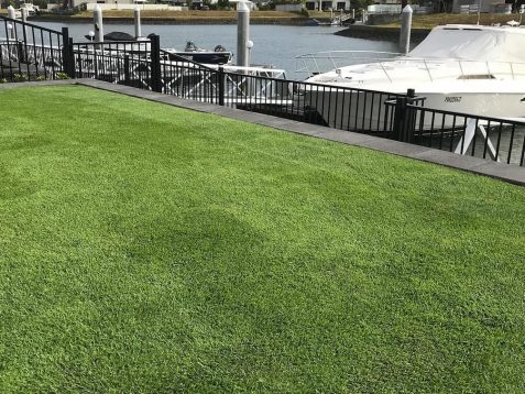 Your guide to Sir Grange turf - Sydney Lawn & Turf Supplies